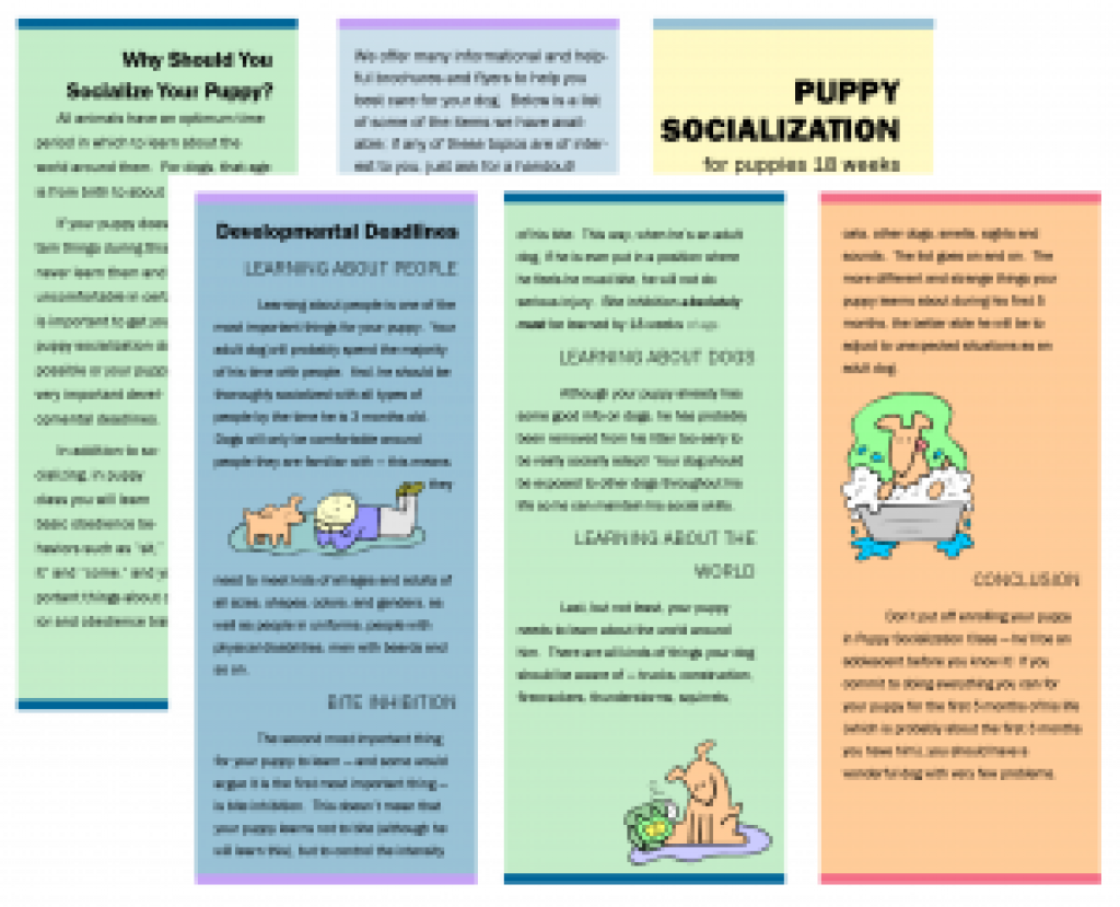 Marketing Handouts - Online Dog Training Courses
