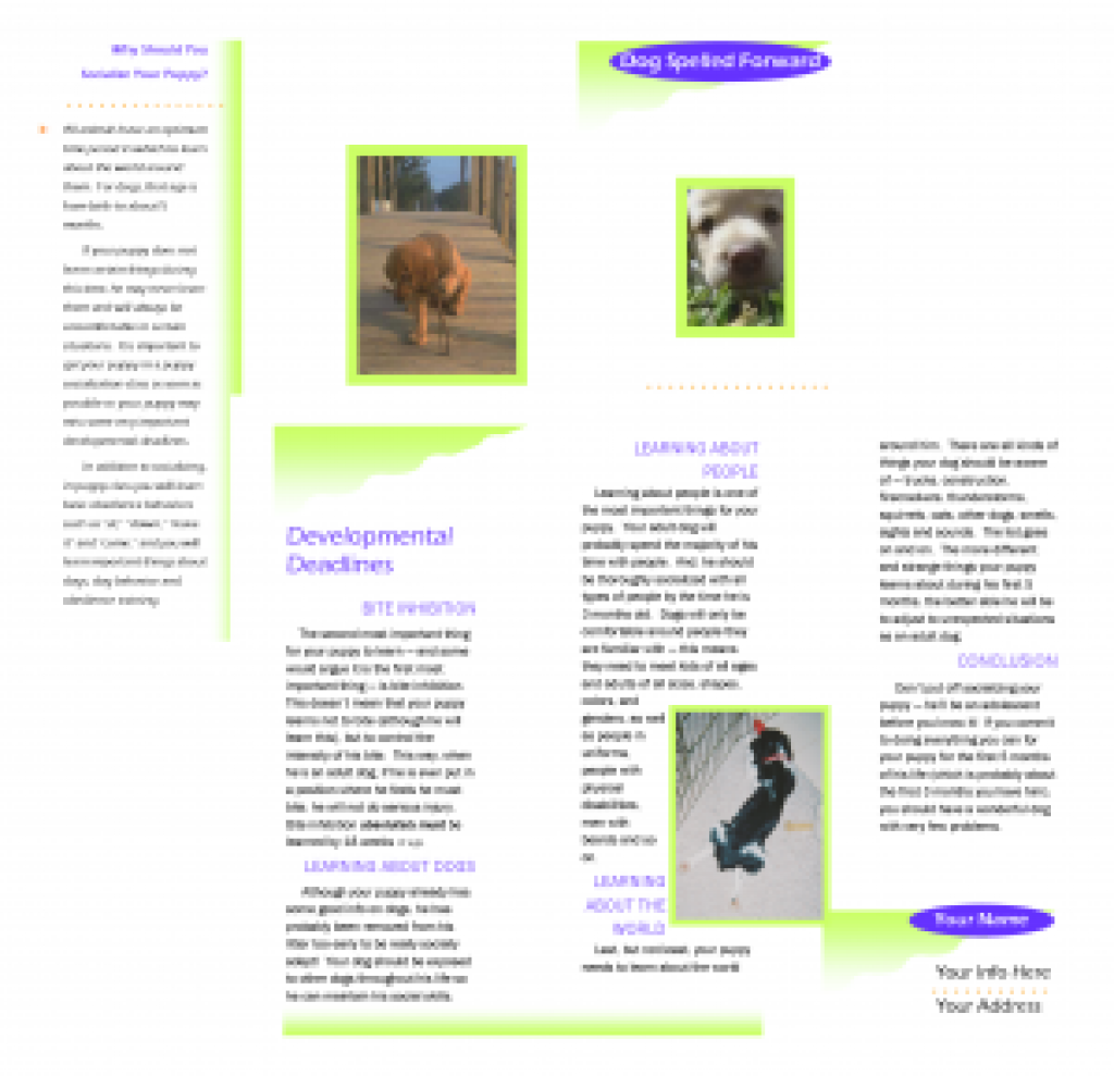 Marketing Handouts - Online Dog Training Courses